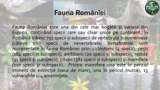 Flora și fauna României | PPTX