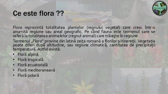 Flora și fauna României