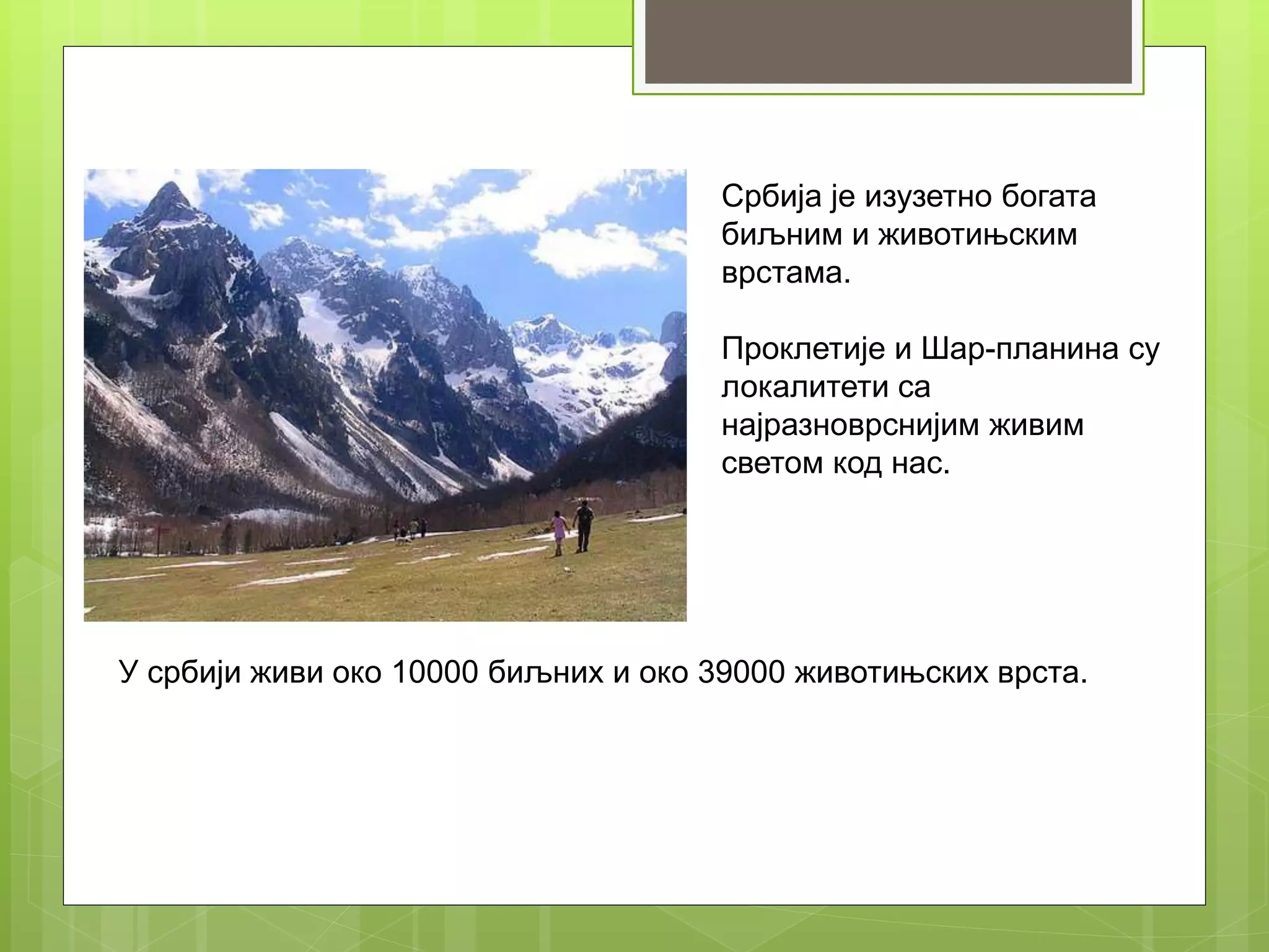 Flora i fauna Srbije | PPTX