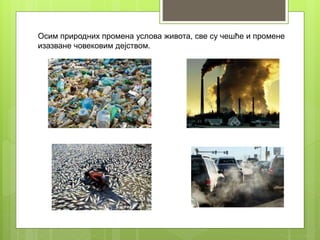 Flora i fauna Srbije | PPTX