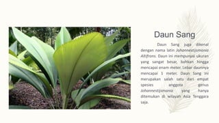 Flora indonesia | PPTX