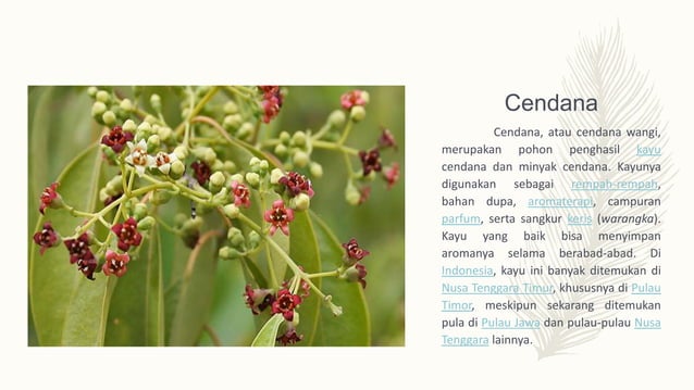 Flora indonesia | PPTX