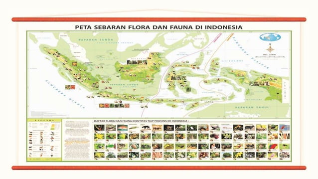 Flora indonesia | PPTX