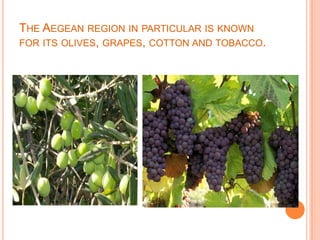 Flora in turkey | PPT