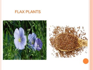 Flora in turkey | PPT