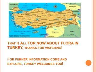Flora in turkey | PPT