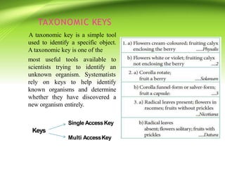 flora keys.pptx