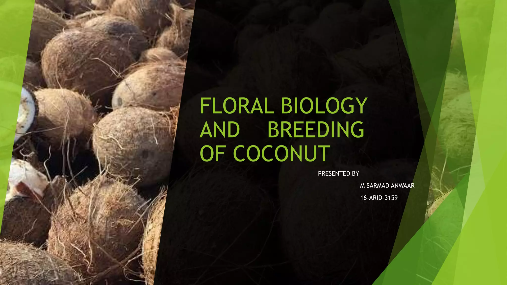 Floral biology and breeding of coconut | PPTX