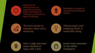 Floral biology and breeding of coconut | PPTX