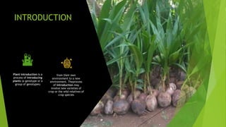 Floral biology and breeding of coconut | PPTX