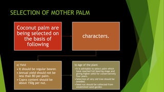 Floral biology and breeding of coconut | PPTX