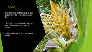 Floral biology and breeding of coconut | PPTX