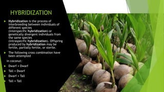 Floral biology and breeding of coconut | PPTX