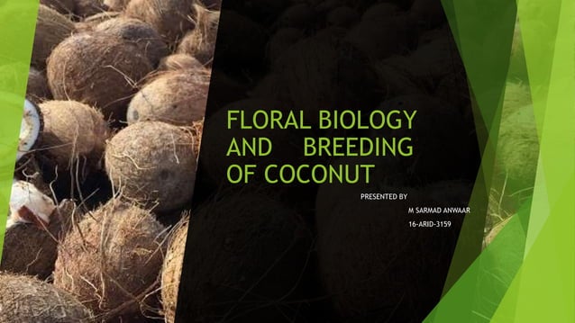 Floral biology and breeding of coconut | PPTX | Gardening | Home & Garden