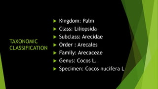 Floral biology and breeding of coconut | PPTX
