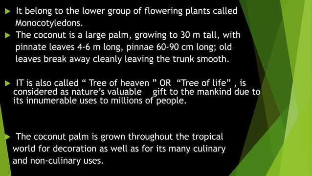 Floral biology and breeding of coconut | PPTX | Gardening | Home & Garden