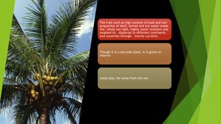 Floral biology and breeding of coconut | PPTX