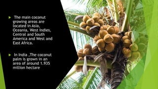 Floral biology and breeding of coconut | PPTX