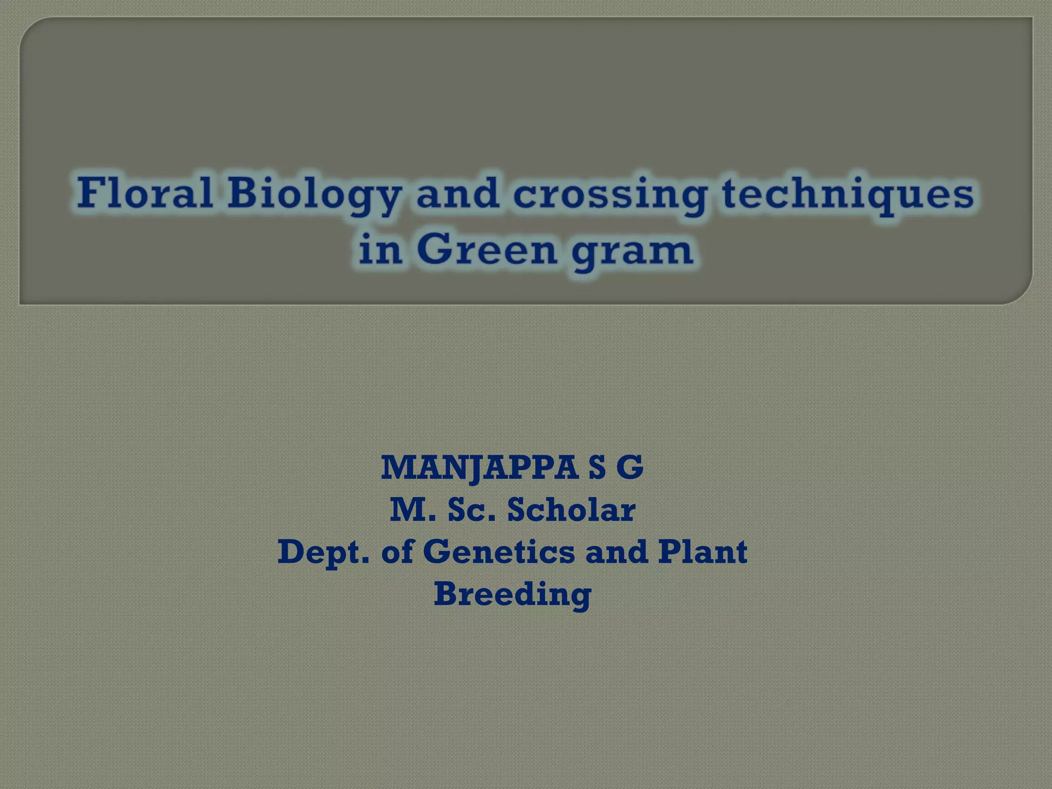 Floral biology and crossing techniques in greengram | PPT