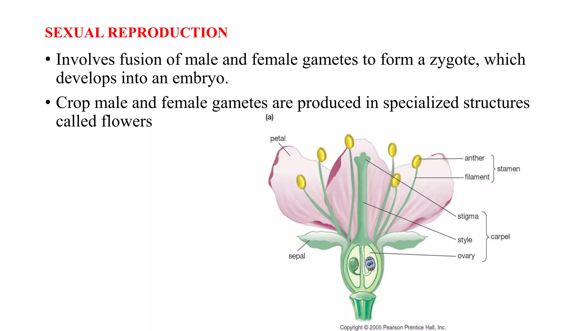 Floral biology, modes of reproduction and pollination | PPTX