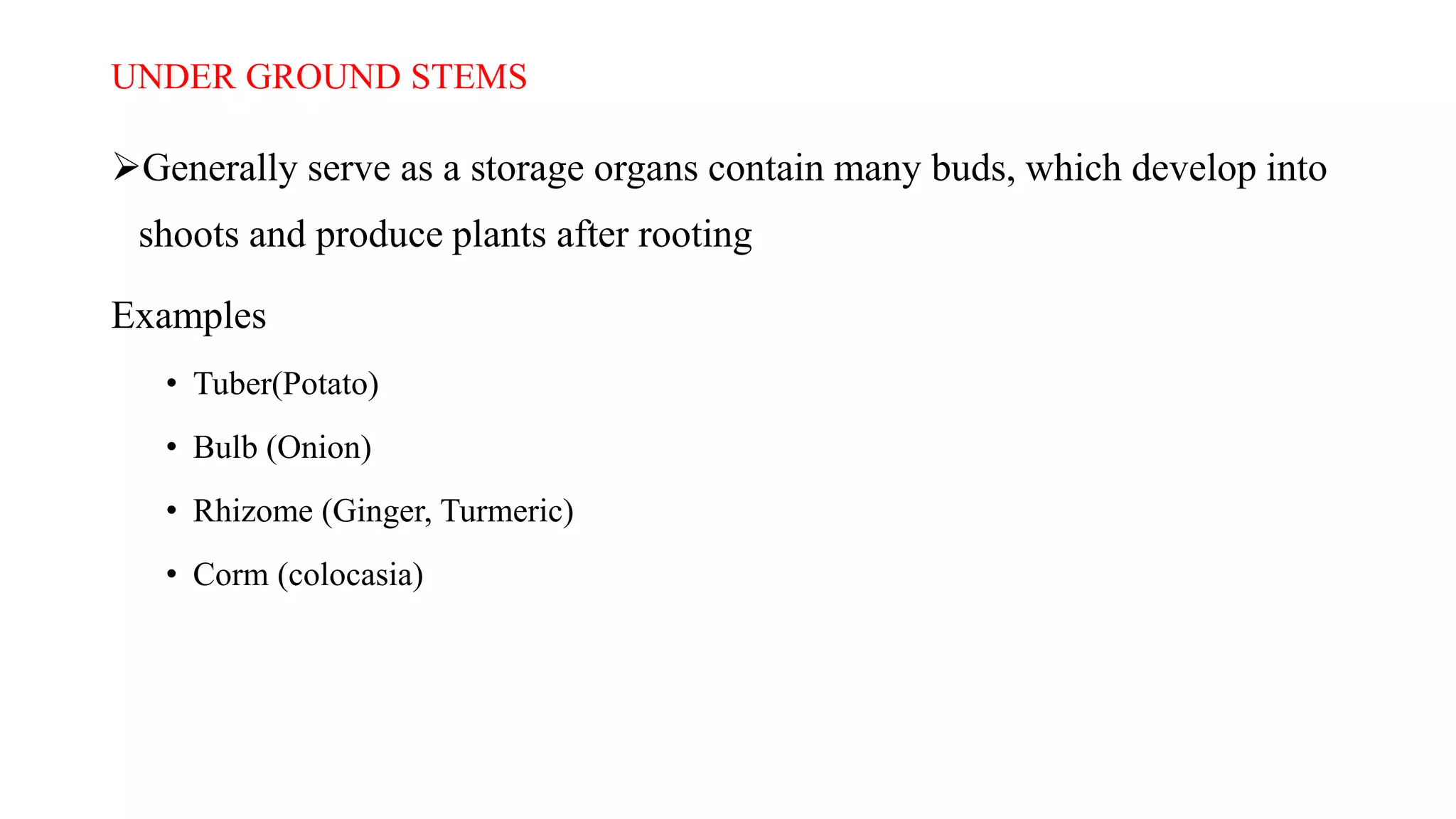 Floral biology, modes of reproduction and pollination | PPTX
