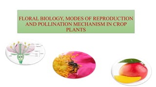Floral biology, modes of reproduction and pollination | PPTX