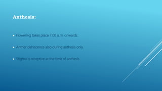 Floral biology of commercial crops | PPTX
