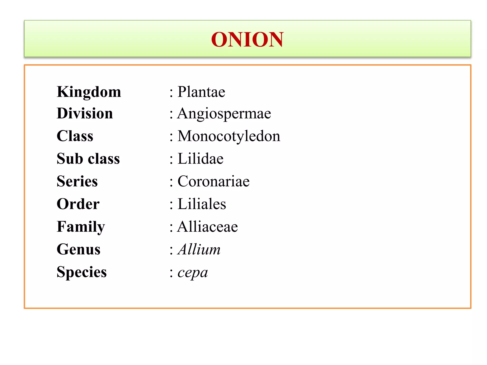 Floral biology of garlic and onion | PPT
