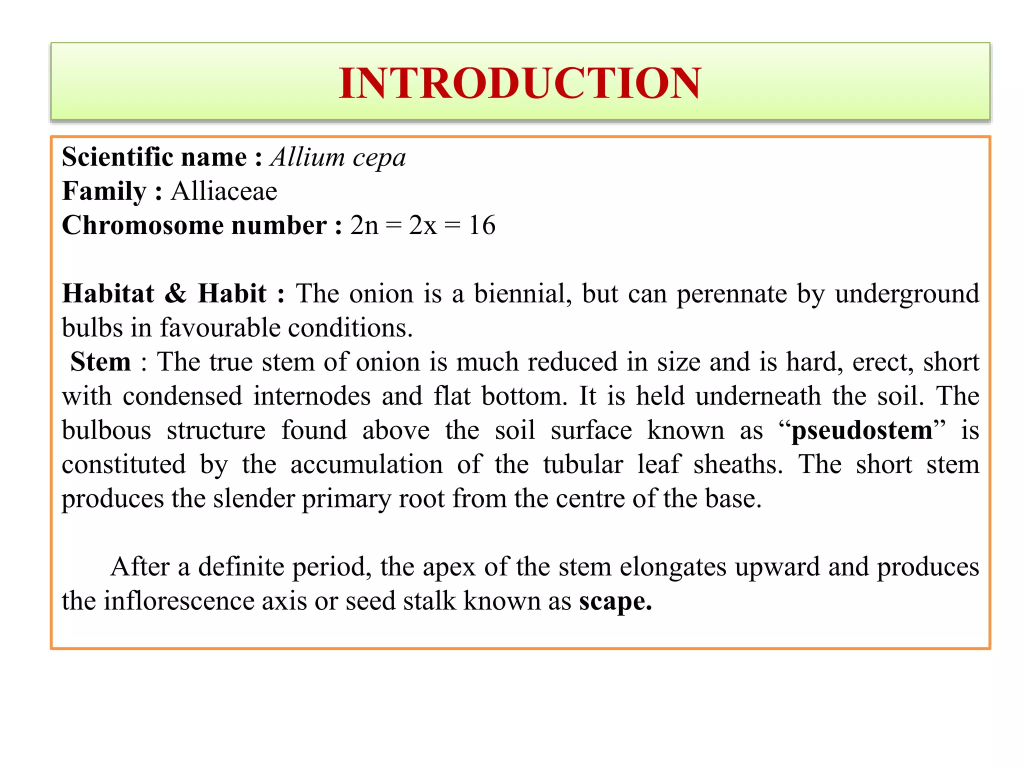 Floral biology of garlic and onion | PPT