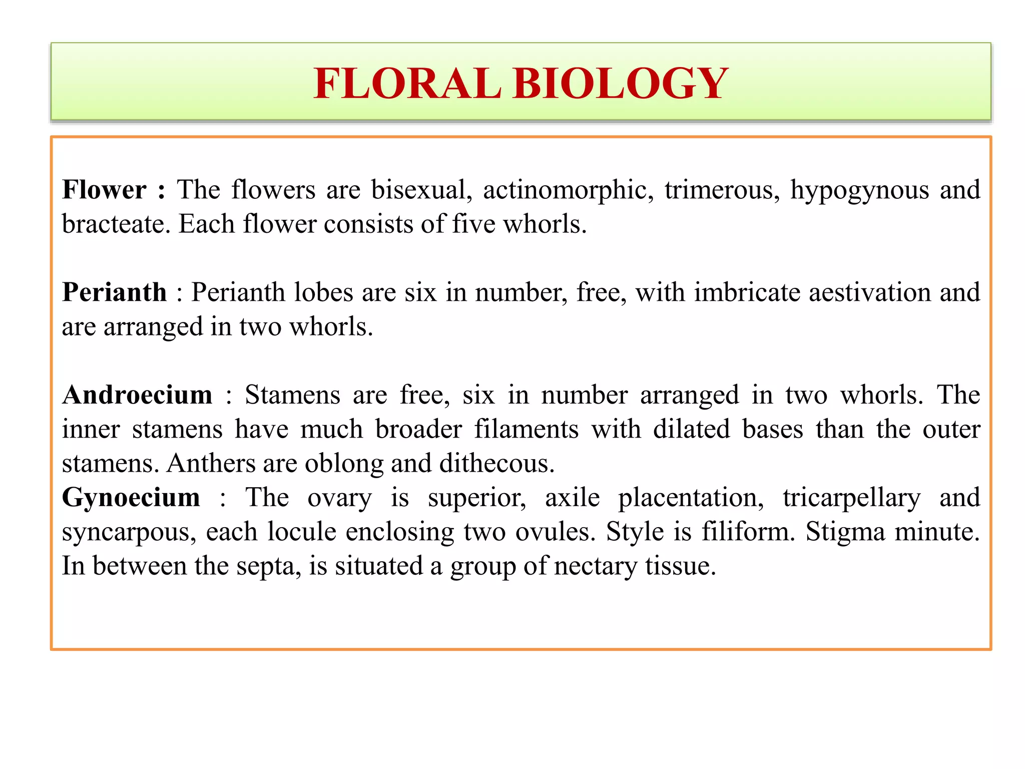Floral biology of garlic and onion | PPT
