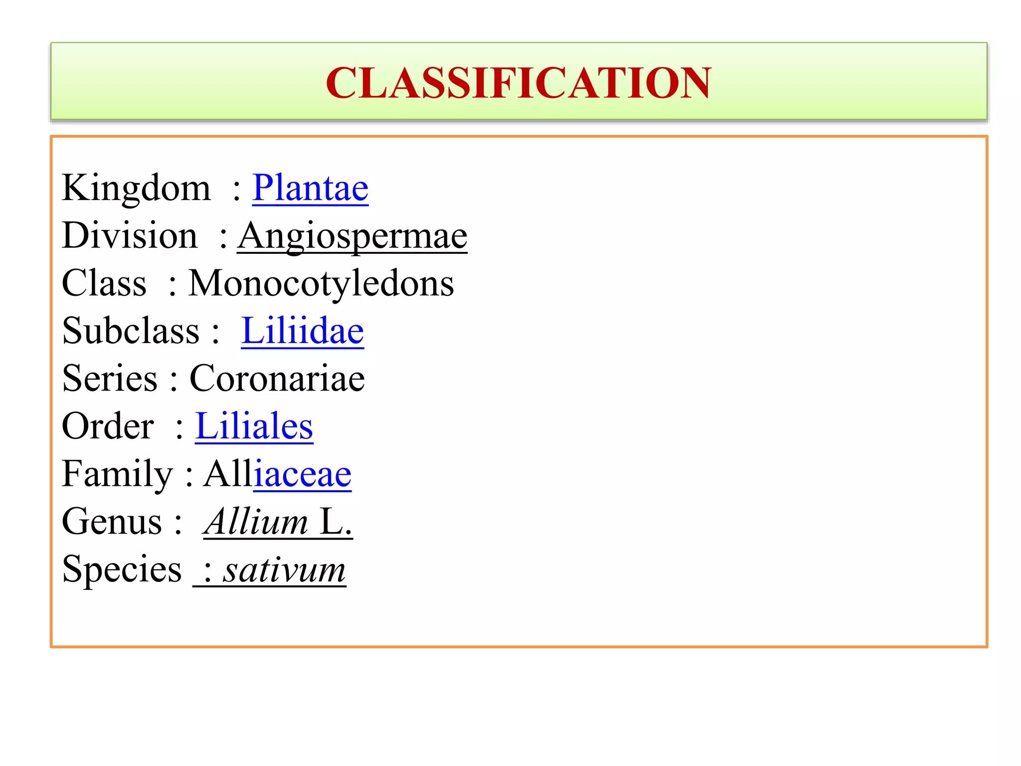 Floral biology of garlic and onion | PPT