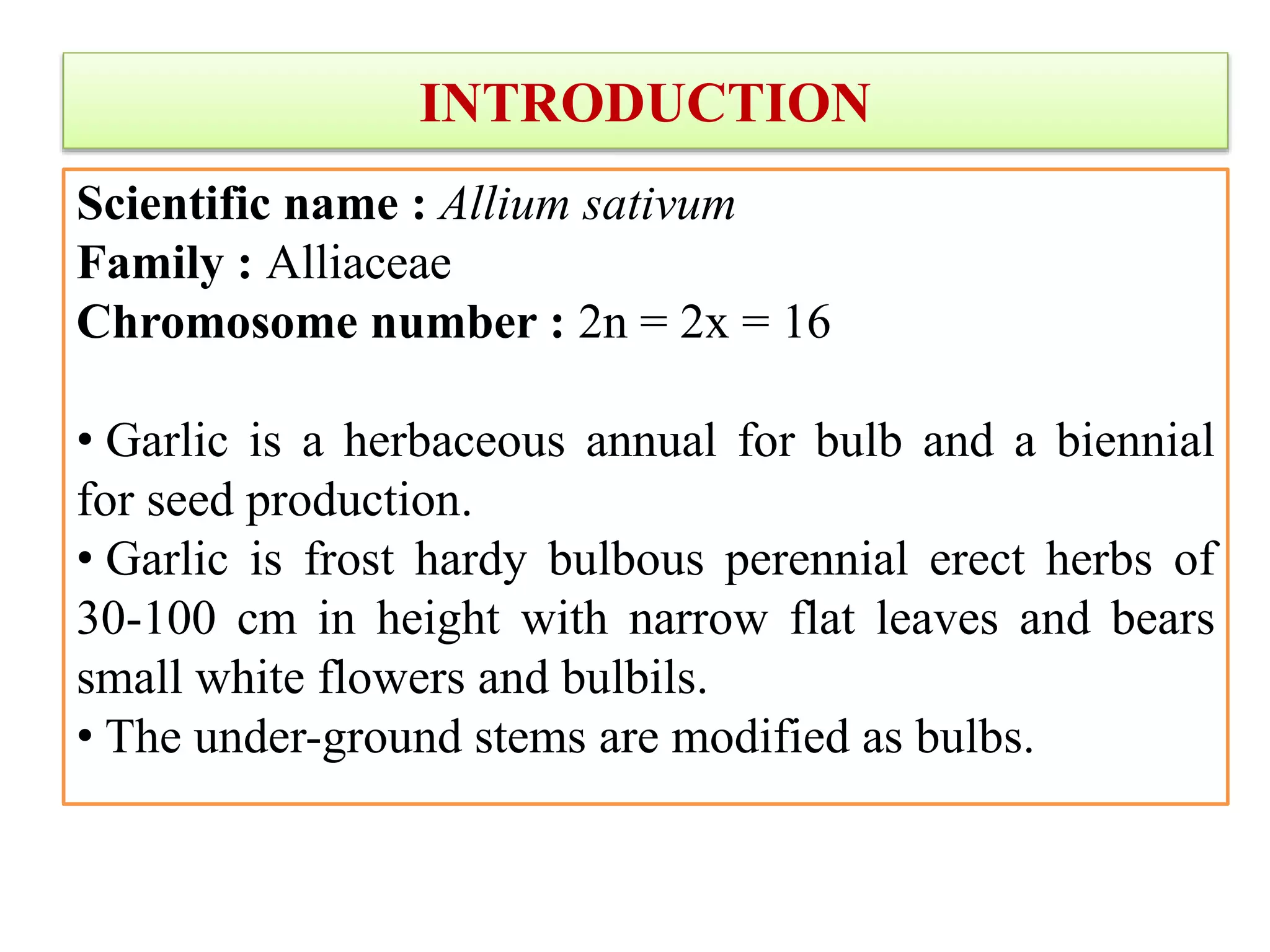 Floral biology of garlic and onion | PPT