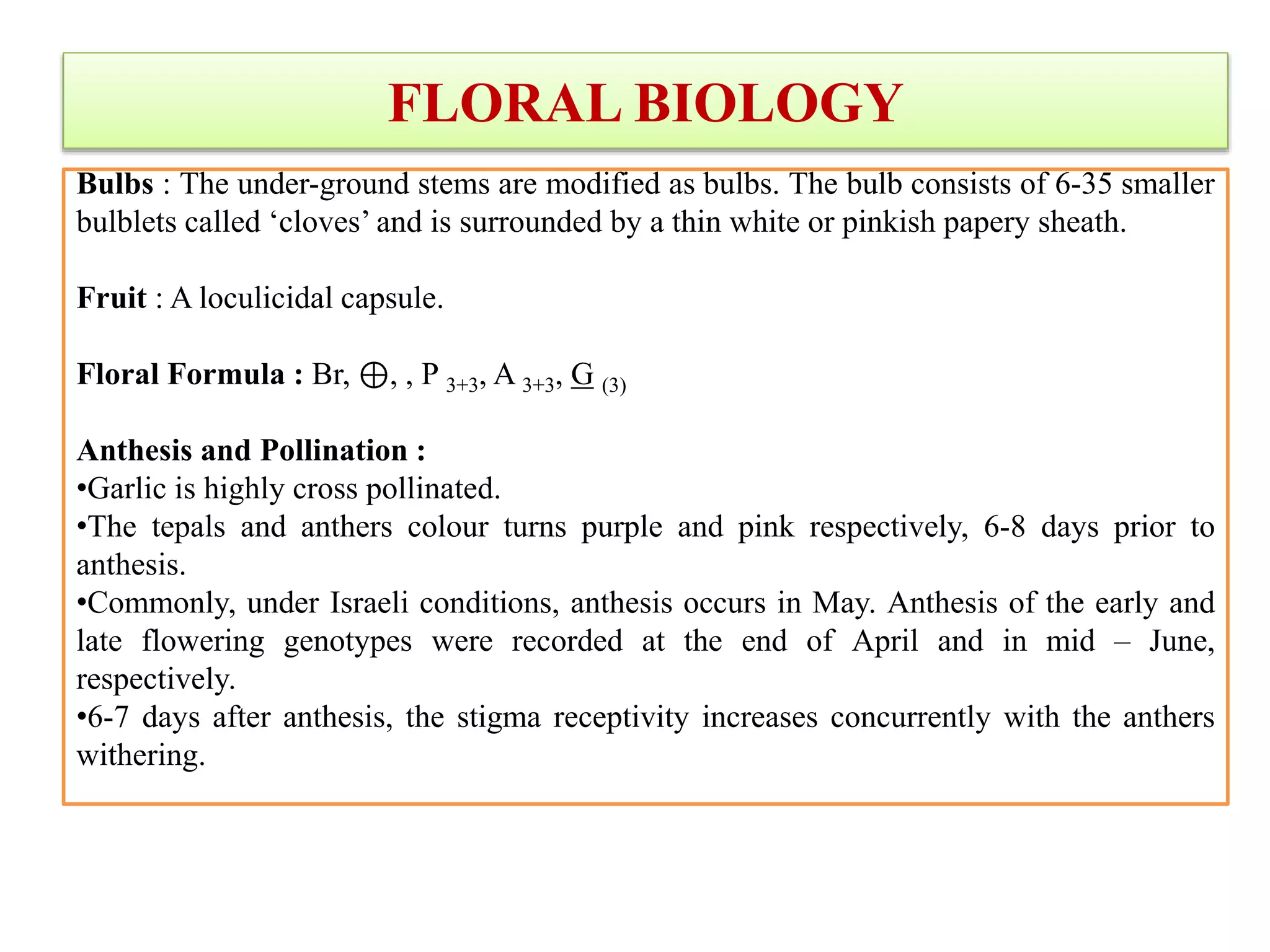 Floral biology of garlic and onion | PPT