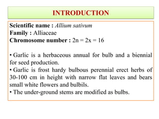 Floral biology of garlic and onion | PPT
