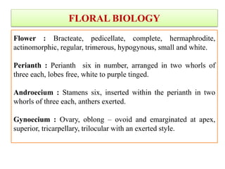 Floral biology of garlic and onion | PPT