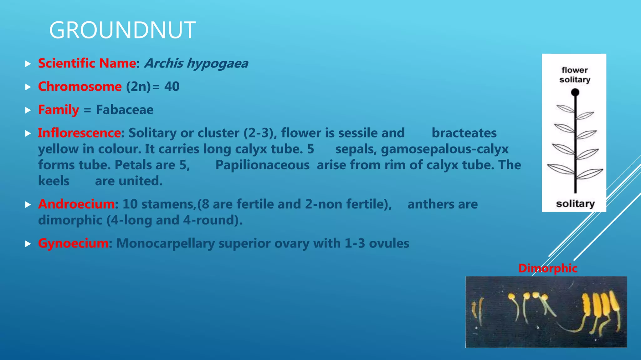Floral biology of oil seed crops | PPTX | Reproductive Health ...