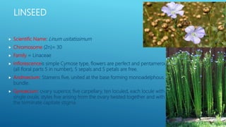 Floral biology of oil seed crops | PPTX