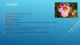 Floral biology of oil seed crops | PPTX