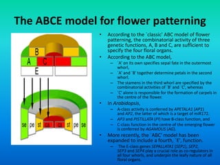 Floral development | PDF