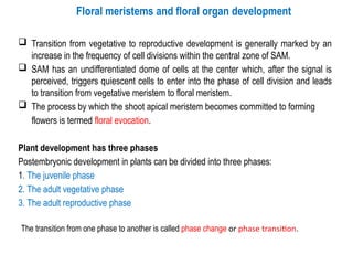Comprehensive Insights into Floral Meristem Development and ...