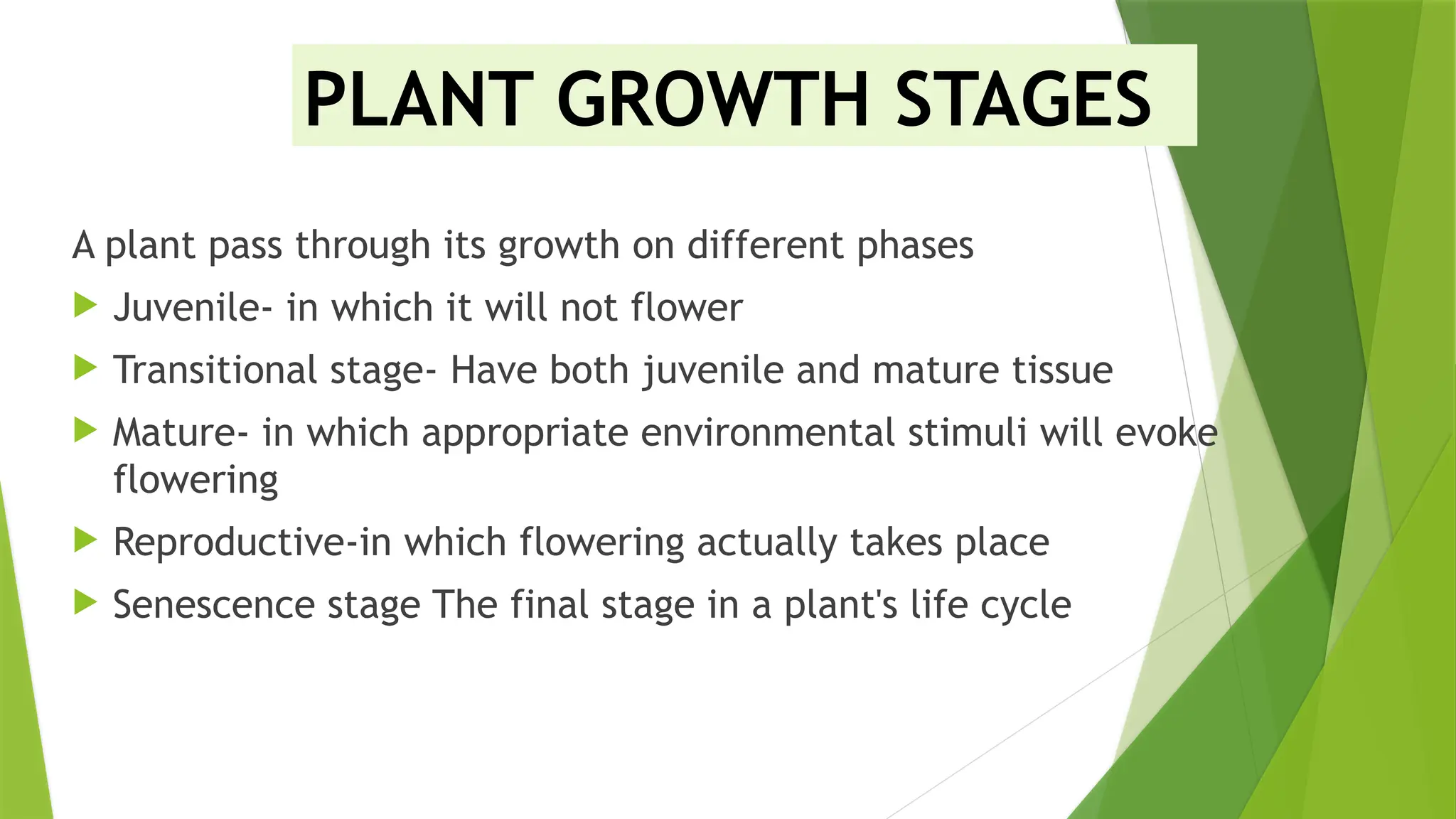 Floral evocation...........................pptx