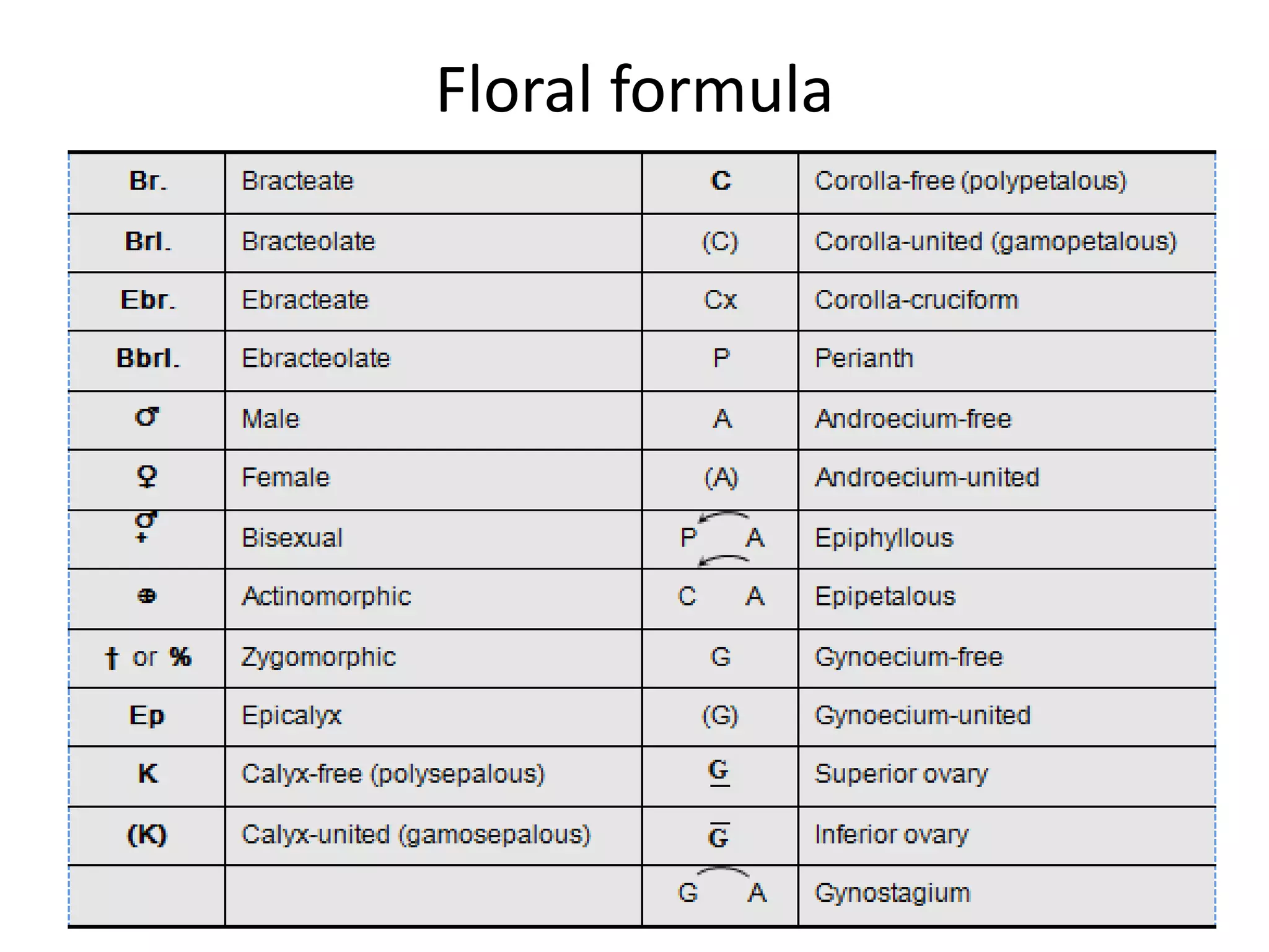 Floral formula and floral diagram | PPTX