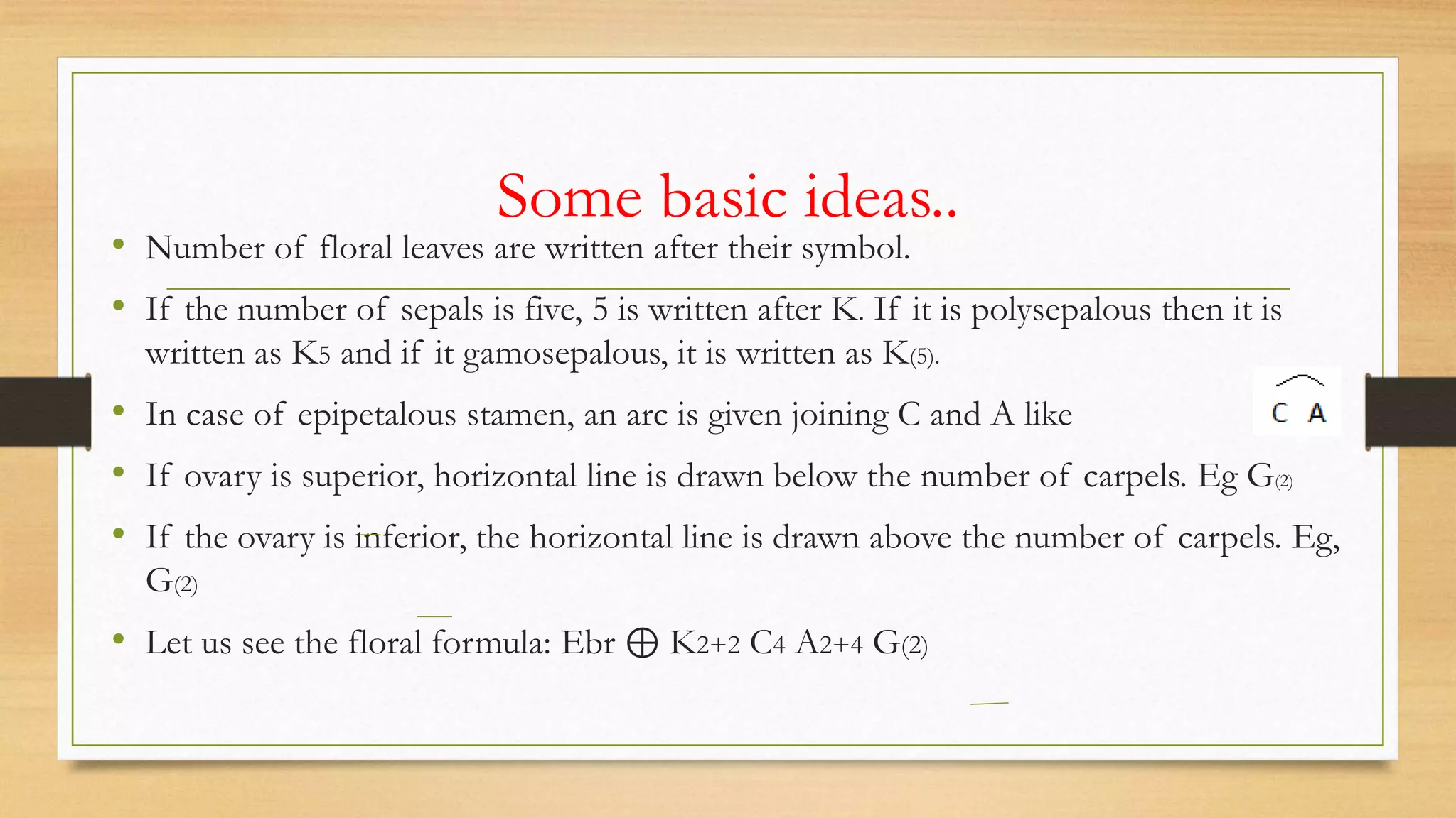 Floral formula and floral diagram | PPTX