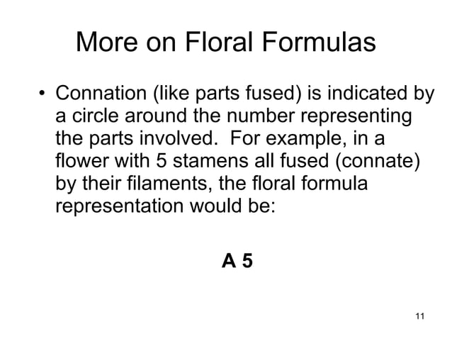 Floral formulas and diagrams | PPT | Flower Shopping | Shopping