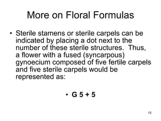 Floral formulas and diagrams | PPT
