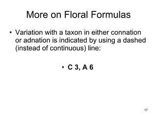 Floral formulas and diagrams | PPT