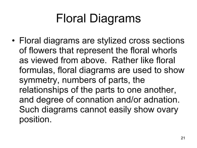 Floral formulas and diagrams | PPT | Flower Shopping | Shopping