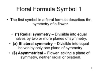 Floral formulas and diagrams | PPT | Flower Shopping | Shopping