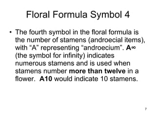 Floral formulas and diagrams | PPT