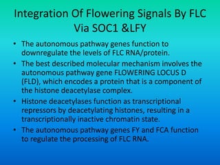 Floral induction | PDF